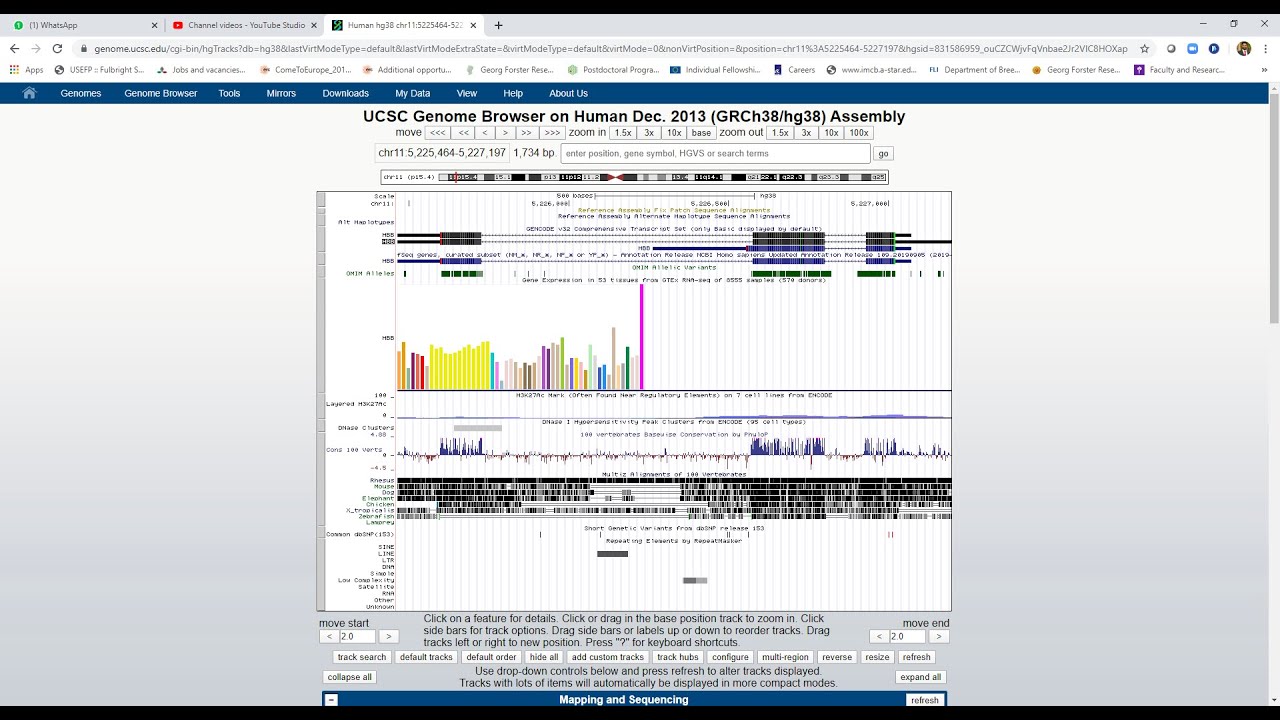 Genomics: Introduction to UCSC genome browser - YouTube