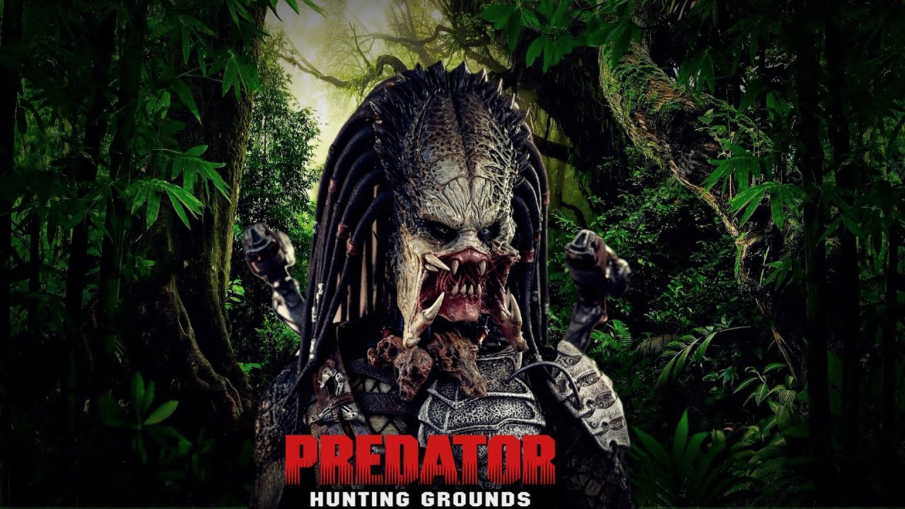 Stream! Predator Hunting Grounds | Let's kill predators 12 11 2024 ...