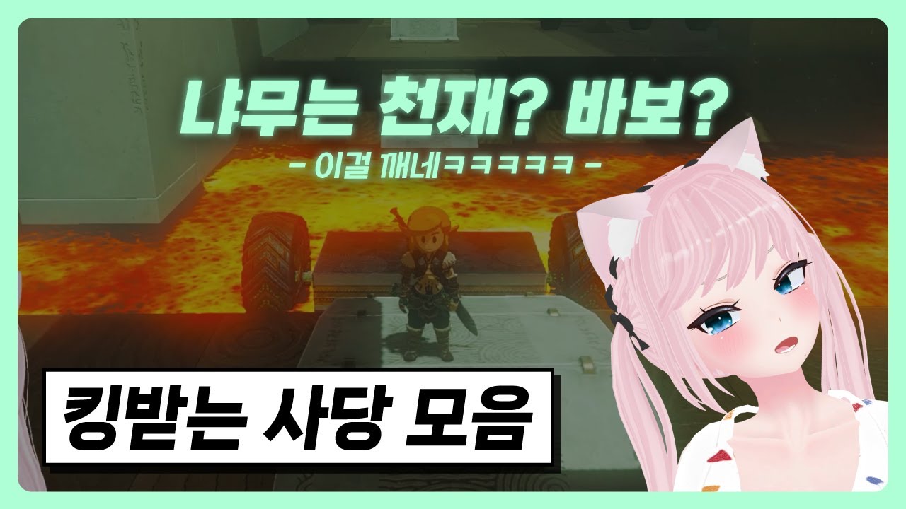 젤다 왕눈 천재인가 바보인가 Youtube