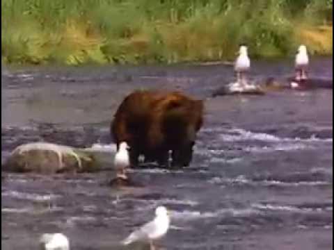 Tryit Editor v3 3 - YouTube