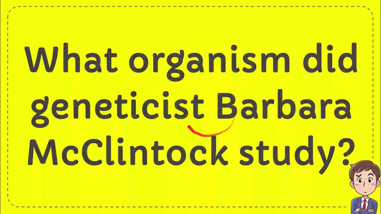 What organism did geneticist Barbara McClintock study? - YouTube