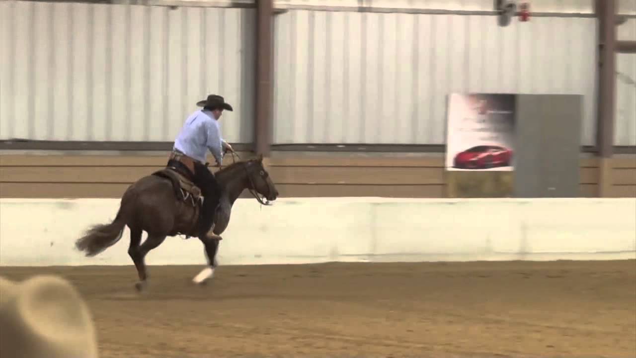 Jason Torpey on Annie Electric NH Open Score 71 5 video hd horse - YouTube