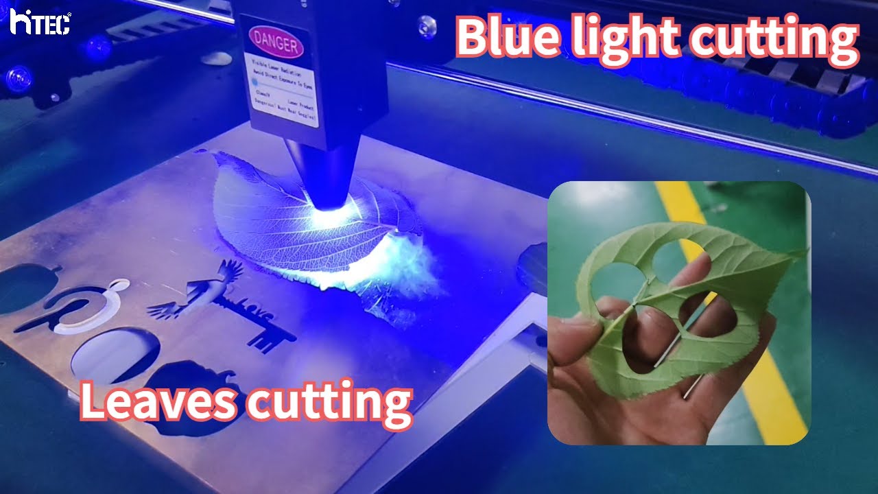 Blue Laser Cutting Leaves Demo – Hitec Laser Machine - YouTube