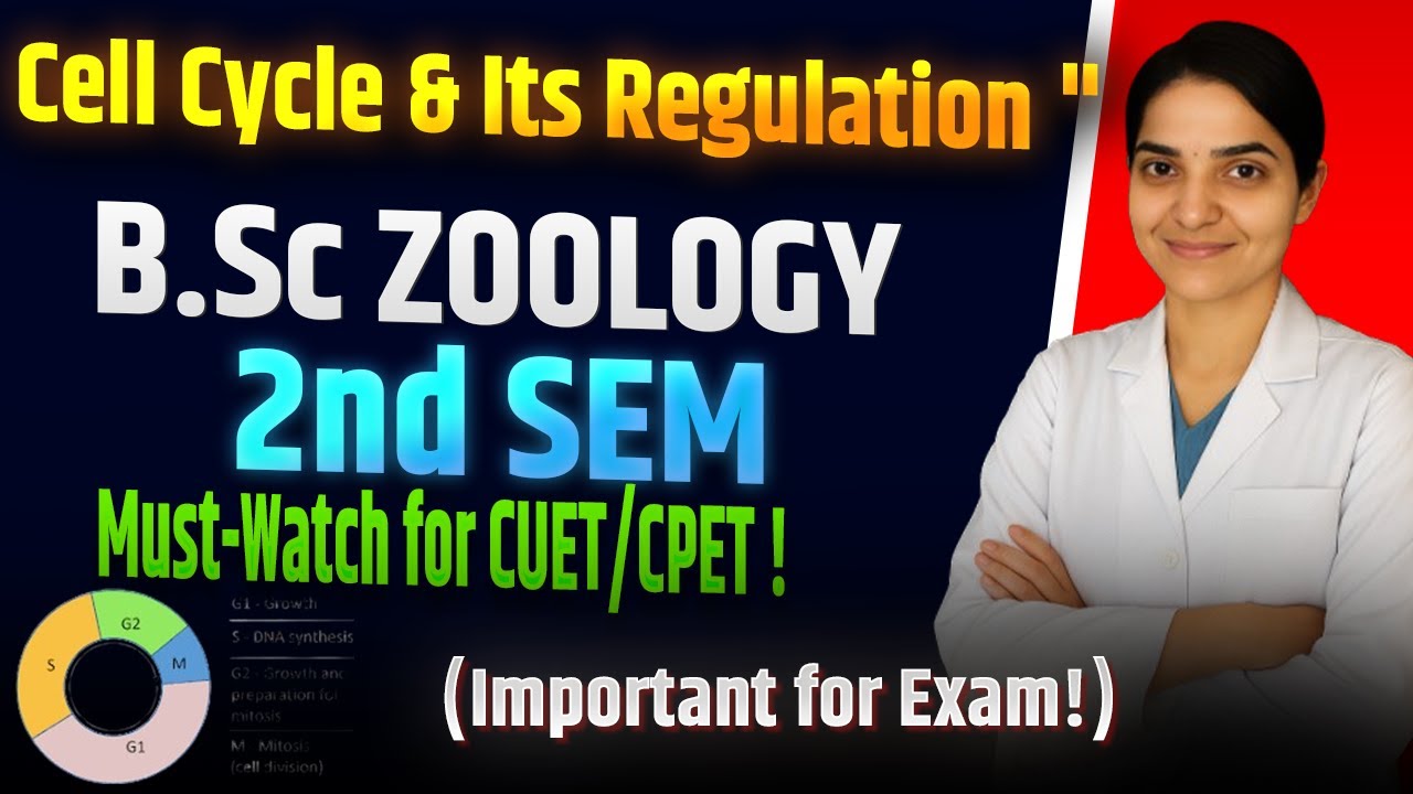 Cell Cycle & Its Regulation | 100% Exam Questions | B.Sc. 2nd Sem and ...