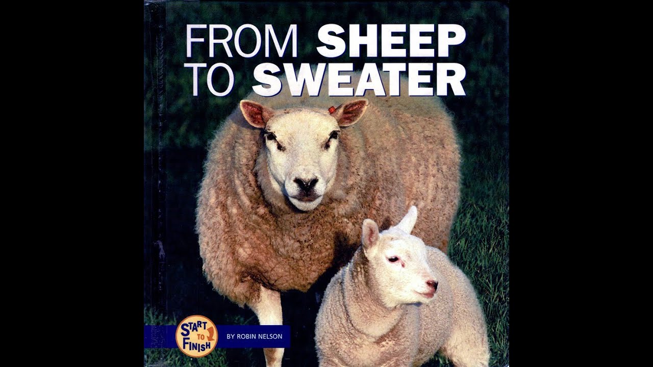 Kids Book Read Aloud: From Sheep to Sweater by Robin Nelson - YouTube
