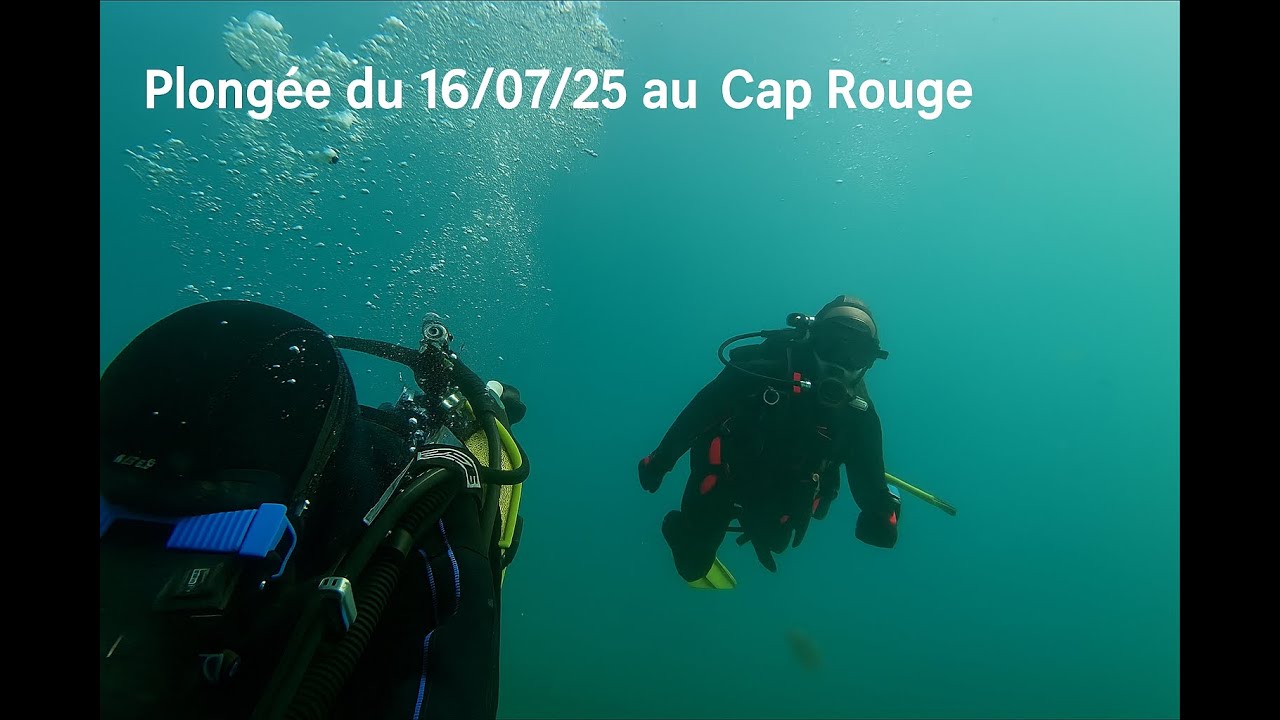 Plongée du 16/07/25 au Cap Rouge - Vidéo Complète - YouTube