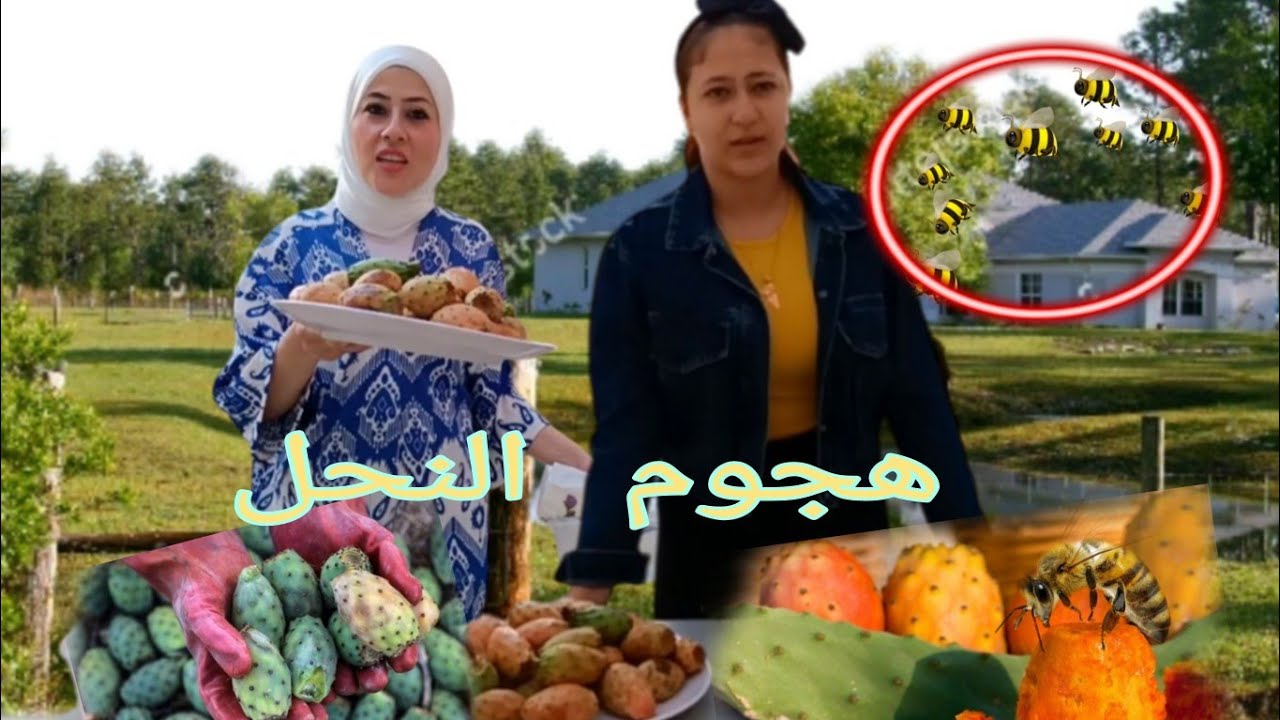 هجمت علنا خلية نحل بسبب هاد التحدي - YouTube