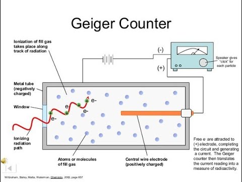Geiger Muller counter efficiency for beta and gamma ray. (Nuclear Lab ...