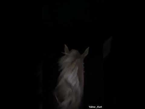 Ay ürəyim o bizi tərk etməyə hazırlaşır...💔🥀 #shorts #song #trending #youtuber #trend #sevgi #status