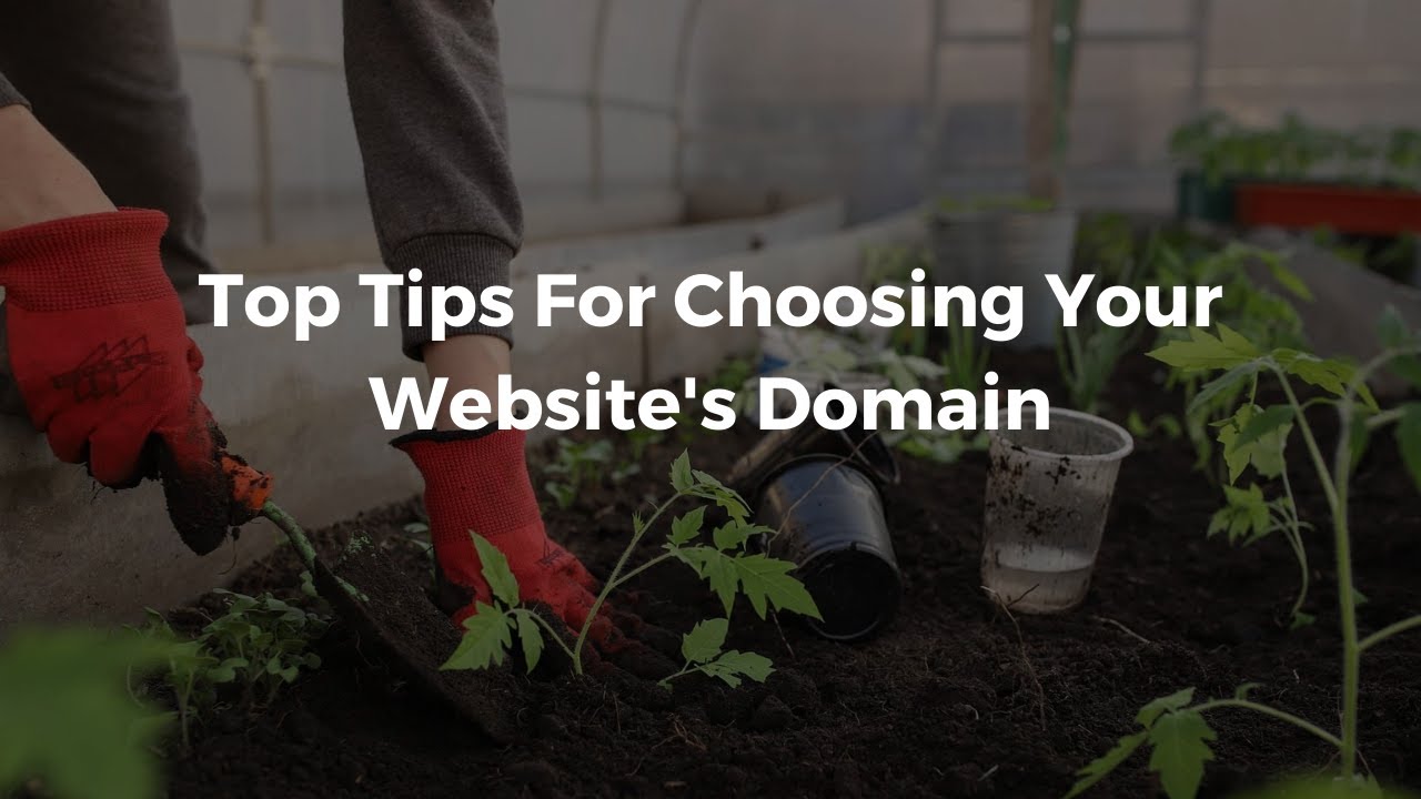 How To Choose The Perfect Domain Name For Your Business Or Personal