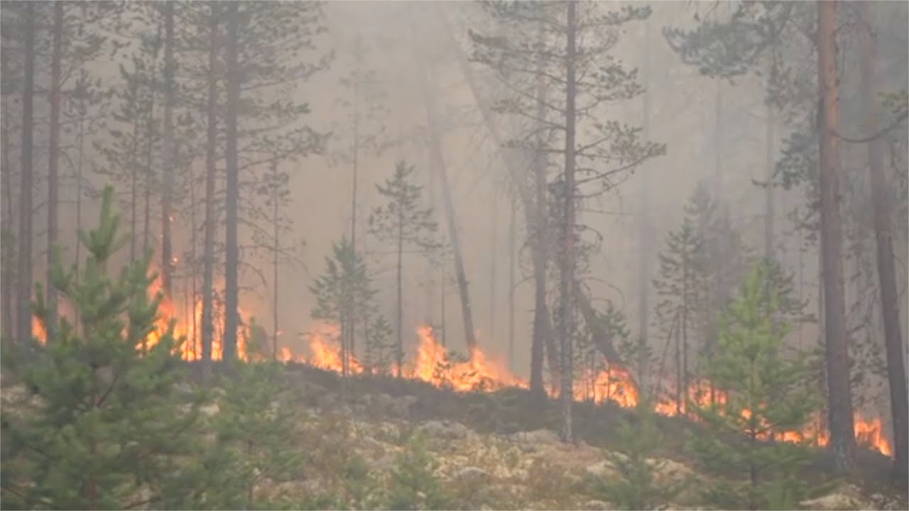 Sweden battles wildfires with help from EU - YouTube