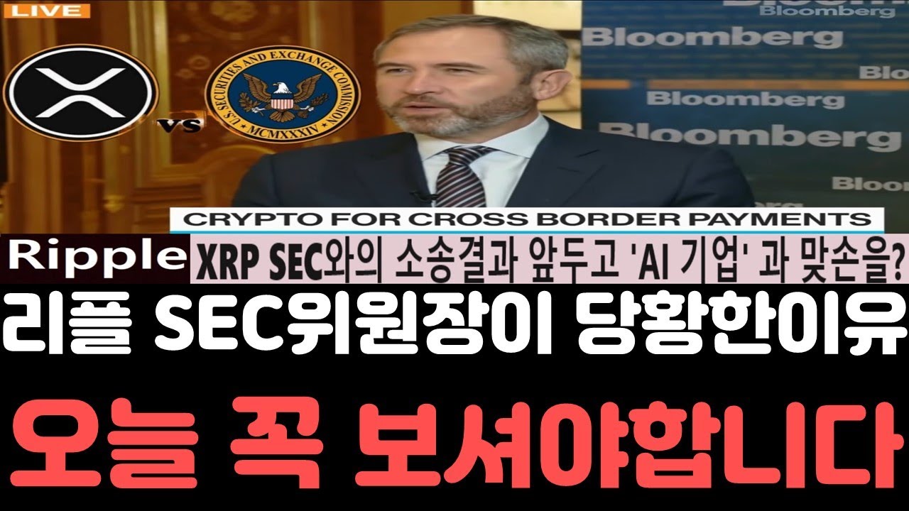리플전망 리플 Xrp 재판소송 최종판결 일정을 갑작스레 공개해 당황한 Sec위원장 오늘 영상은 꼭 보셔야합니다 리플전망 리플호재 리플급등 리플코인 리플소송