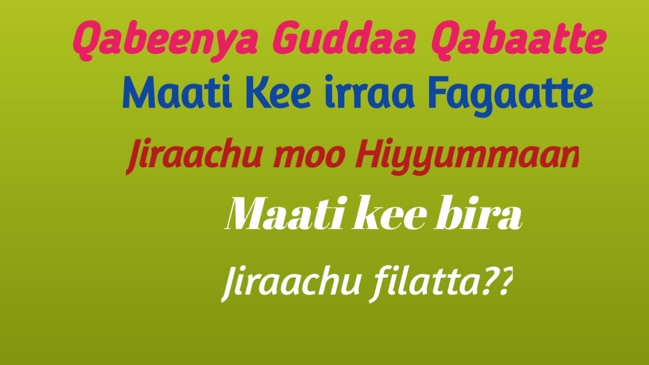 Qabenya Gudda Qabatte Maati kee irraa fagate Jirachu moo Hiyyuman Maati ...