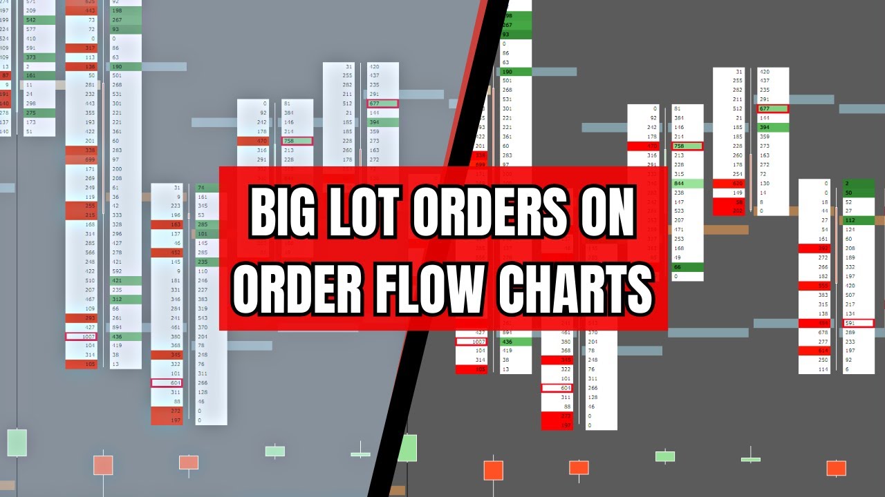 Big Orders, Big Moves: Mastering Support and Resistance in Order Flow # ...