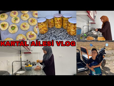 GÜNLÜK EV VLOĞUM👍BESLENMEYE MİNİ PİZZA 🍕 ŞEFTALİ KOMPOSTOSU YAPIYORUM🤌🏻PAZARDAN ALDIKLARIM