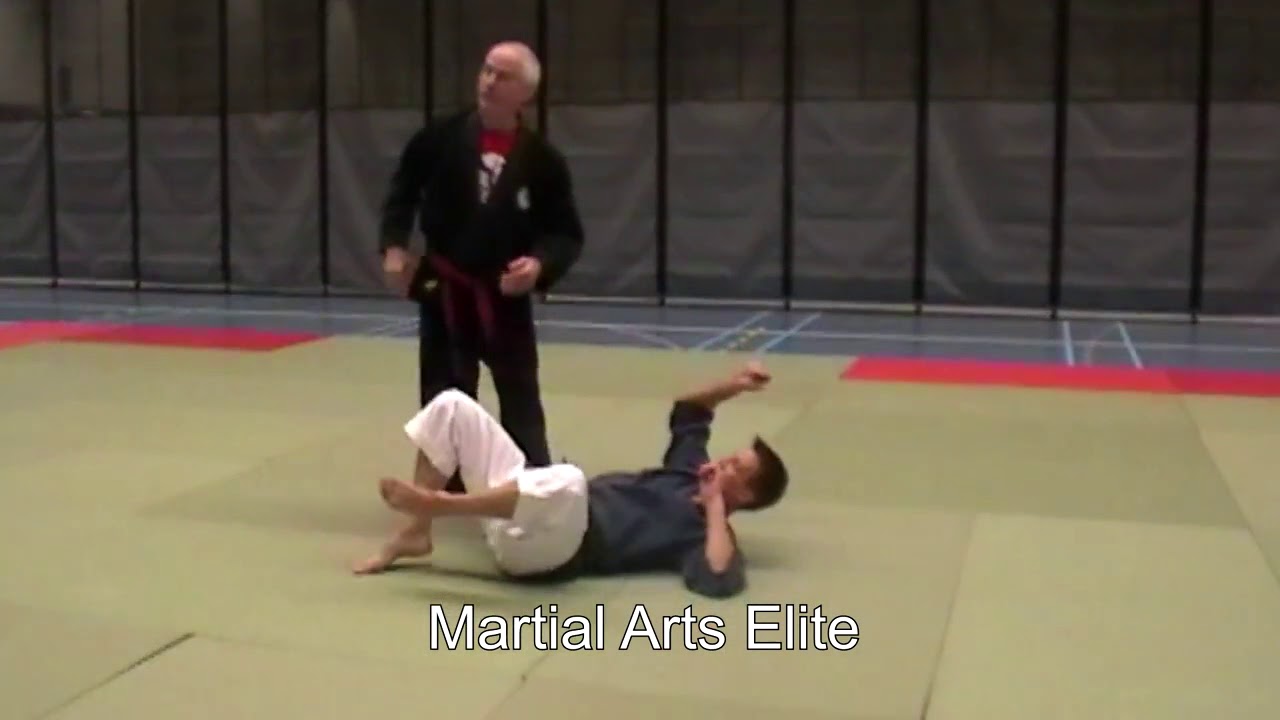 Demonstration 31 sensei Pascal Serei Kyoshi 8th dan Nintai Ryu Aiki ju ...