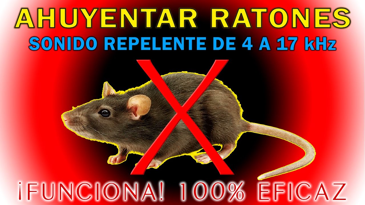 SONIDO PARA AHUYENTAR RATONES 🚫🐭 REPELENTE DE RATONES - YouTube