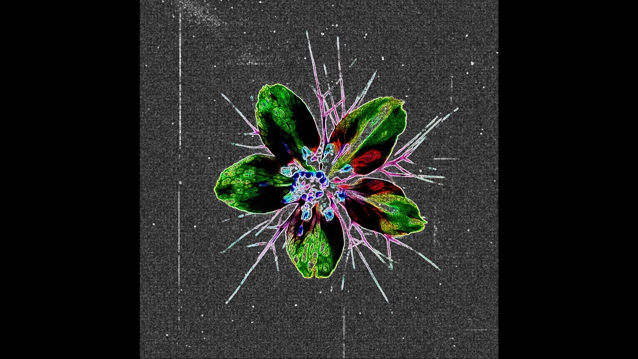 LSD Asap Rocky type beat 2022 - YouTube