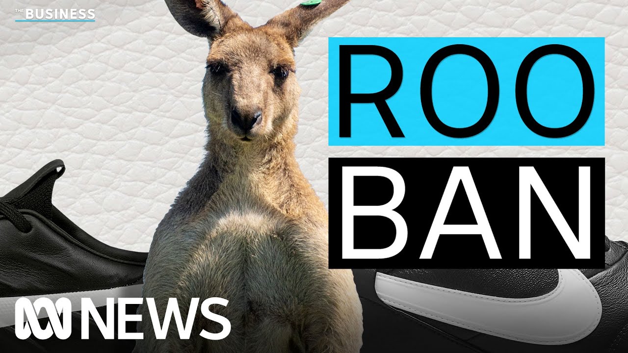 Funny Kangaroo Meme
