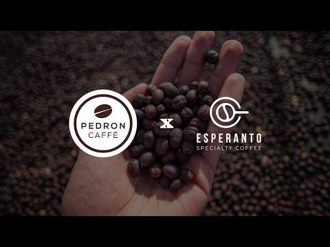 Caffè Pedron ed Esperanto: Passione e Qualità nello Specialty Coffee ...