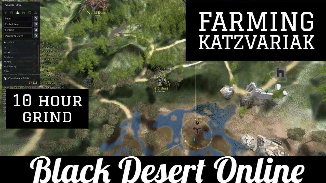 Black Desert Online [BDO] Farming Katzvariak Boss for 10 Hours, Silver ...