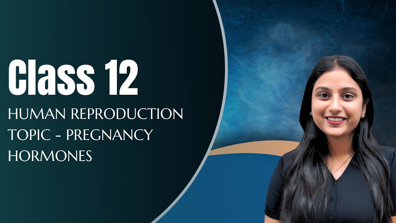 Pregnancy Hormones Explained! HCG, HPL & Relaxin 🧬 - YouTube