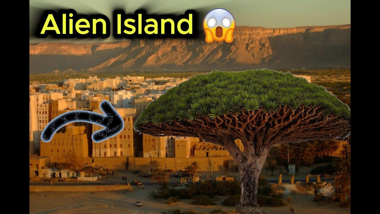 The Hidden Land of Sheba and the World’s Oldest Cities - YouTube