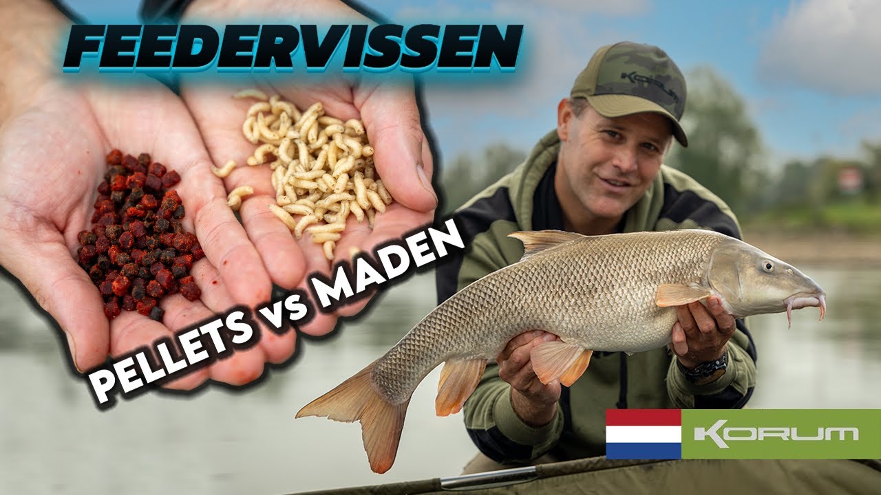 FEEDERVISSEN | PELLETS vs MADEN! 👀 #korum #barbeel #pellets - YouTube
