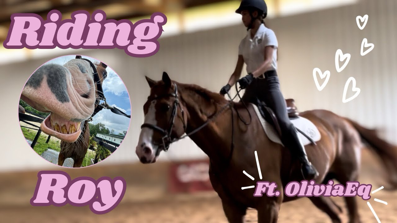 First Ride On Roy Ft. @Olivia-nr9vm - YouTube