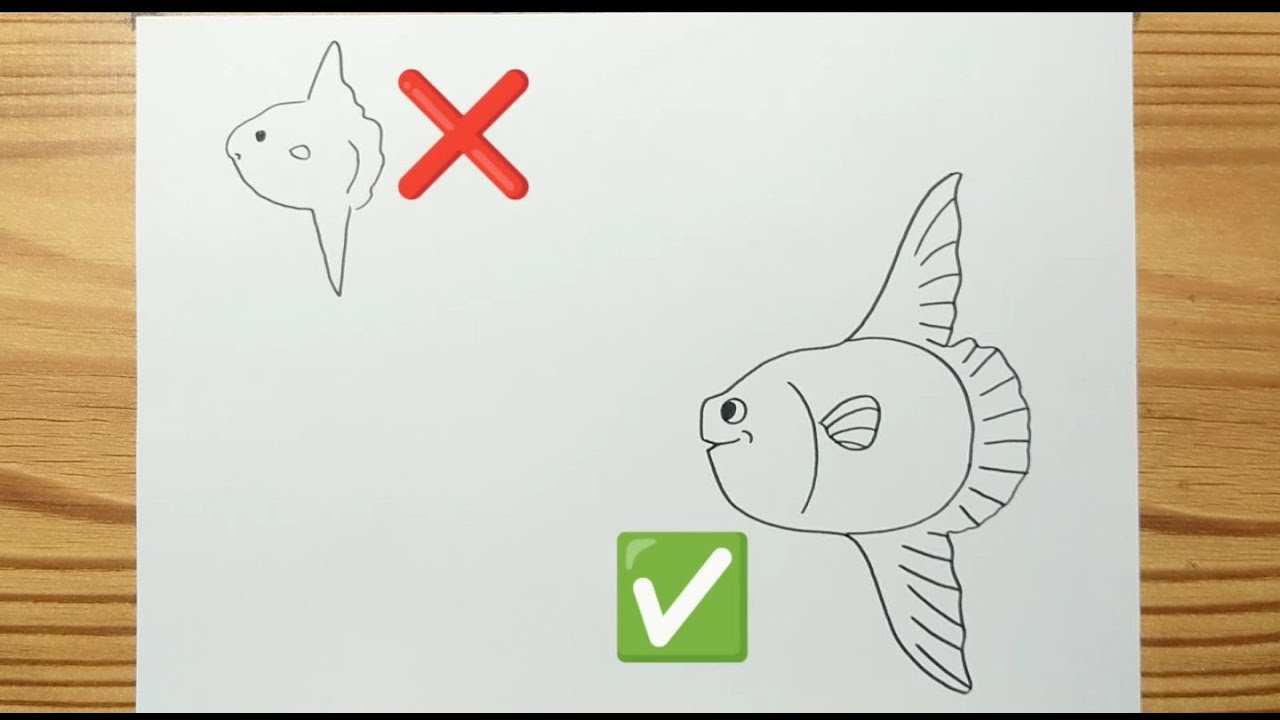 How to draw A SUNFISH EASY Step by step - YouTube