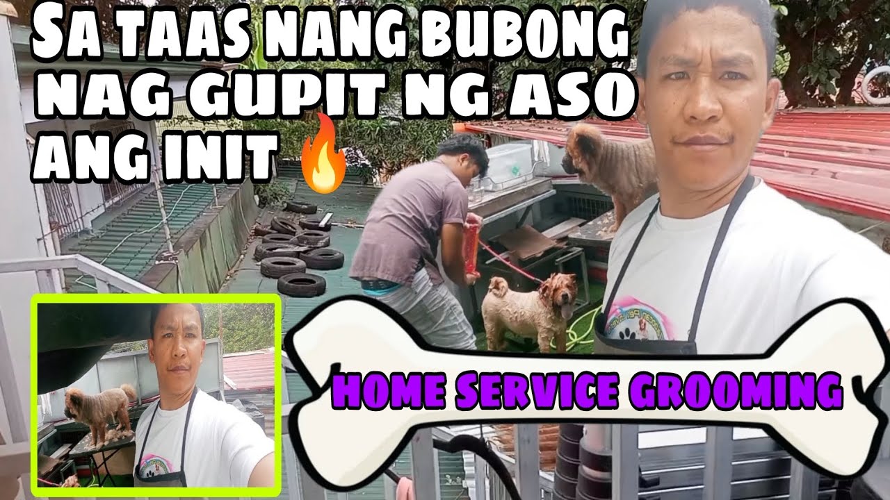 Sa taas kami ng bubong nag gupit ng aso grabing init 🔥 - YouTube