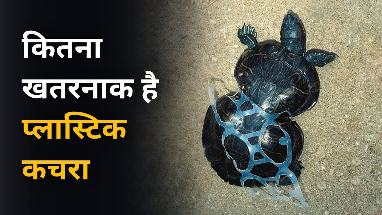 25 Terrible Photos of Plastic Pollution - YouTube