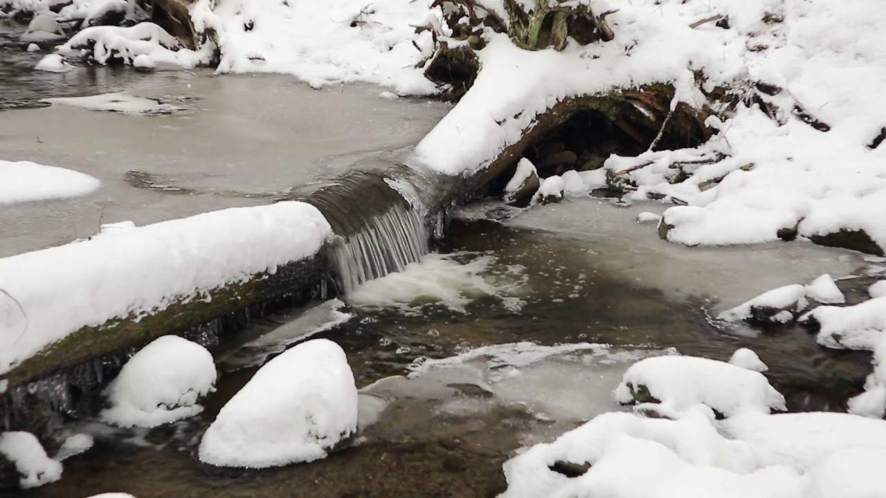 Canon EOS M100 Full HD 24p Video Sample