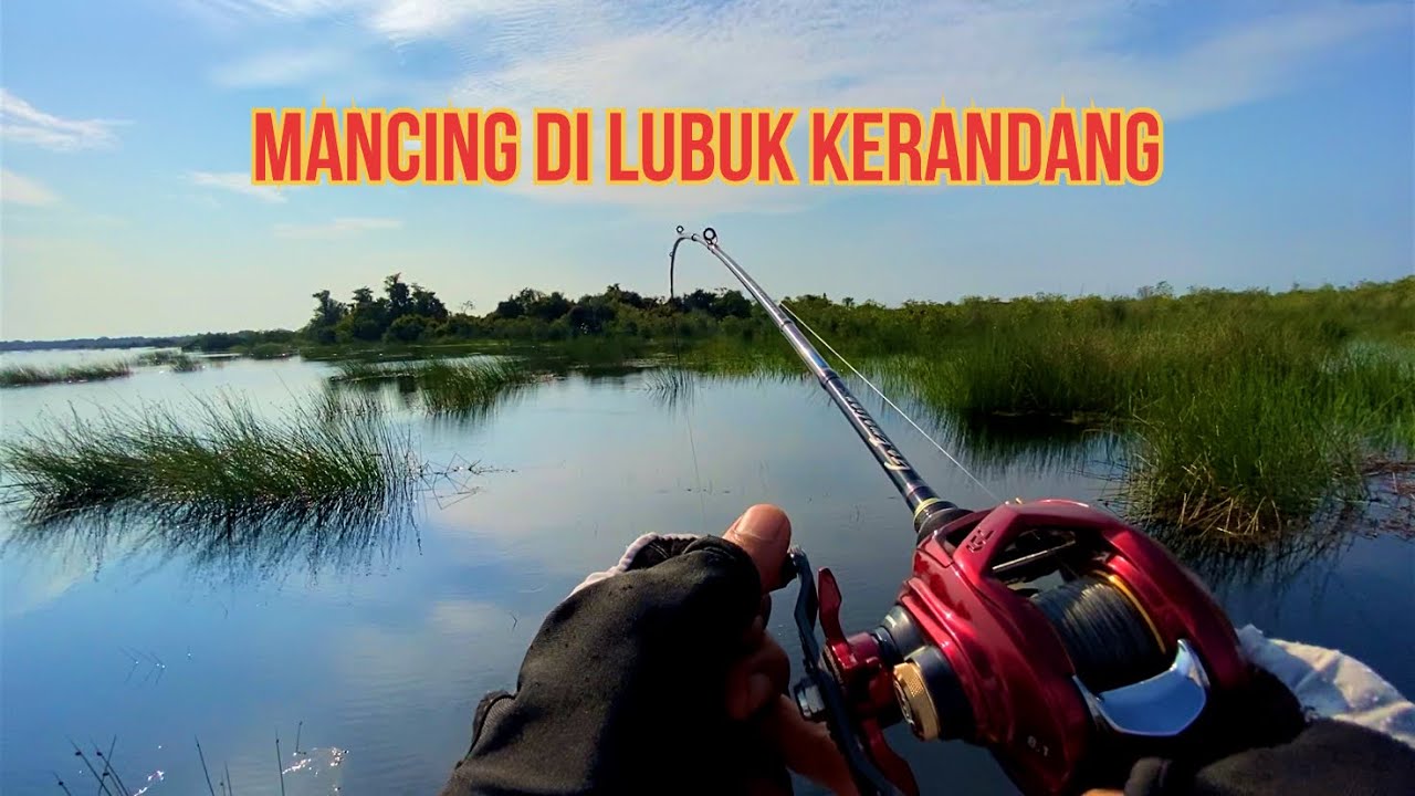 Mancing kerandang tepat di lubuk || full strike kerandang RIAU - YouTube