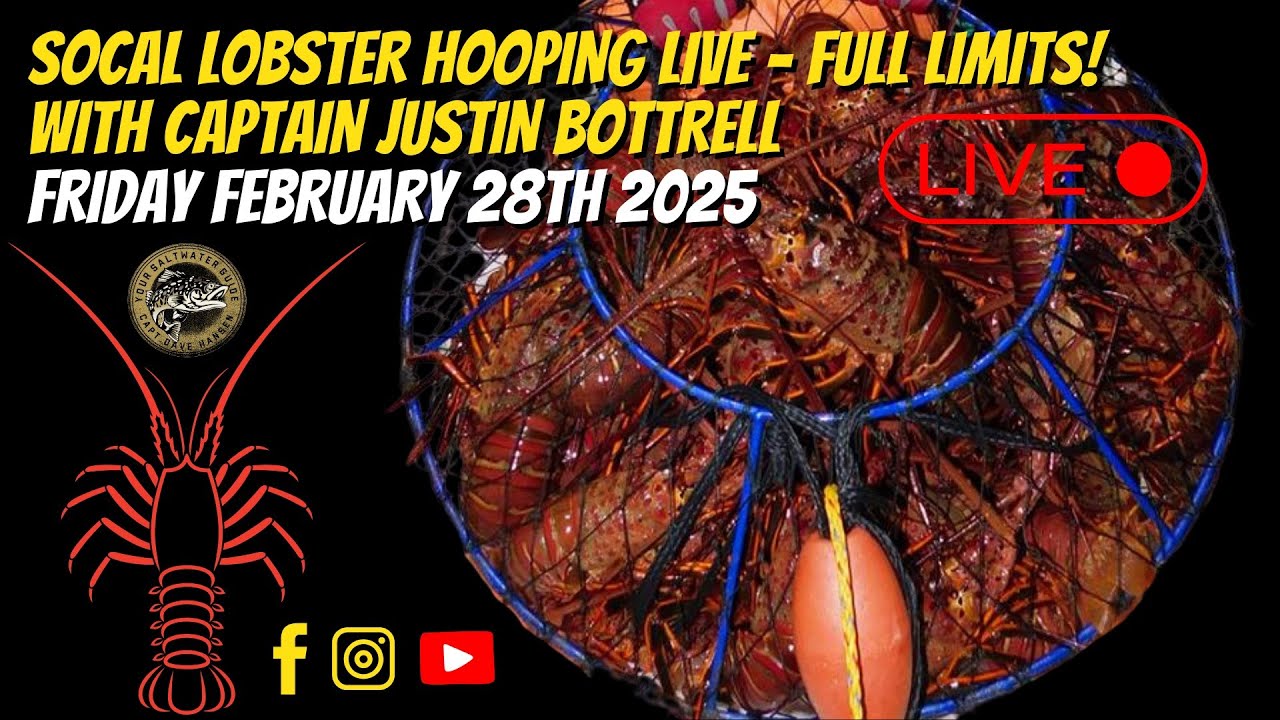 Live Lobster Hooping in Long Beach! | YSWG w/ Captain Justin Bottrell ...