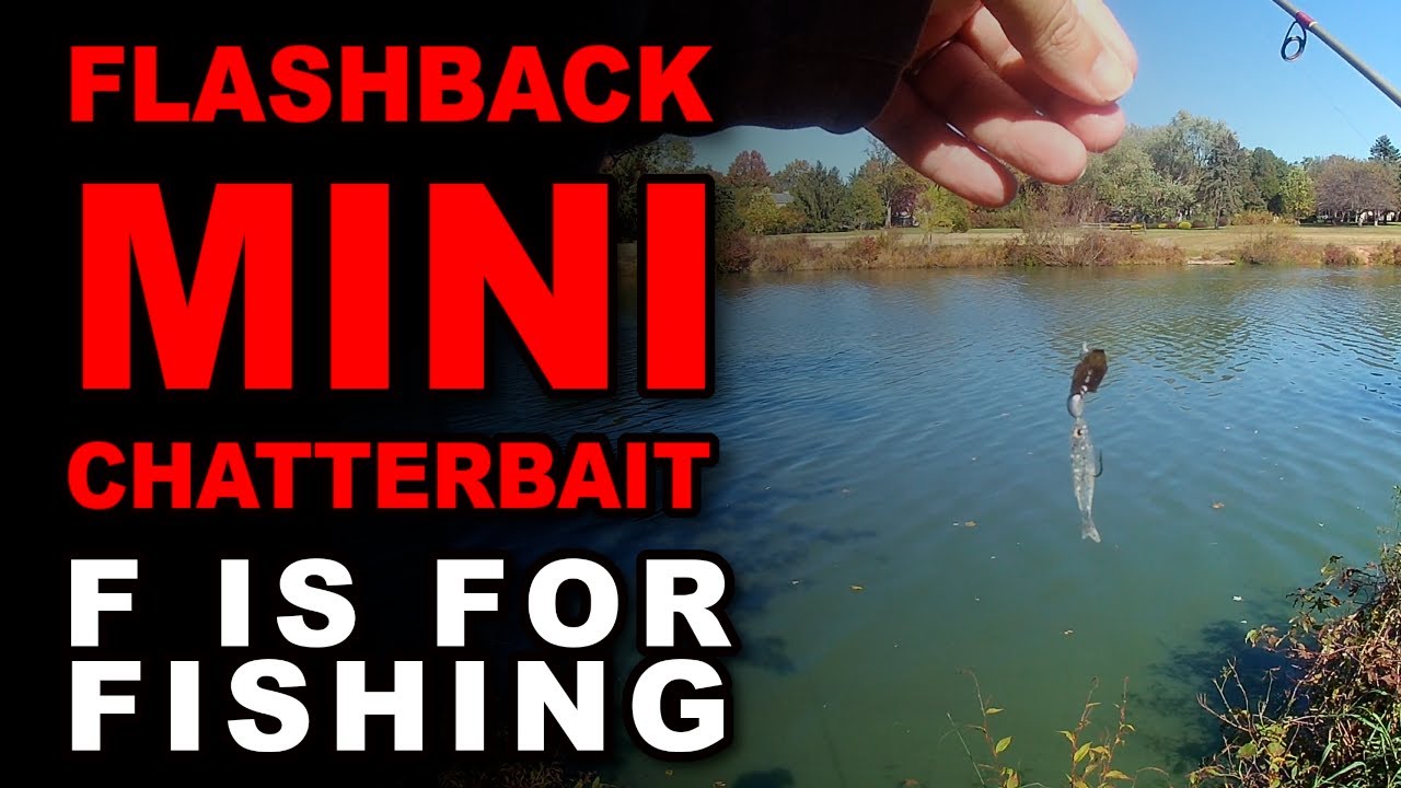 Flashback Mini Chatterbait - YouTube