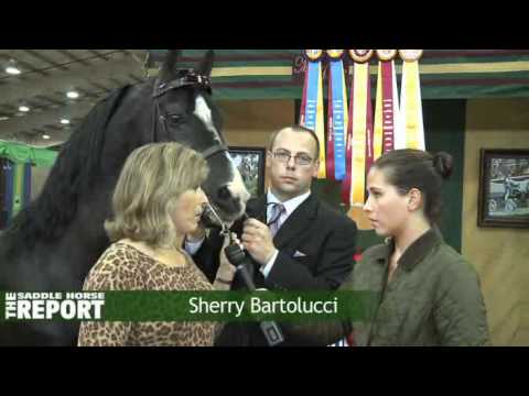 Interview with Mark Bodnar and Sherry Bartolucci - YouTube