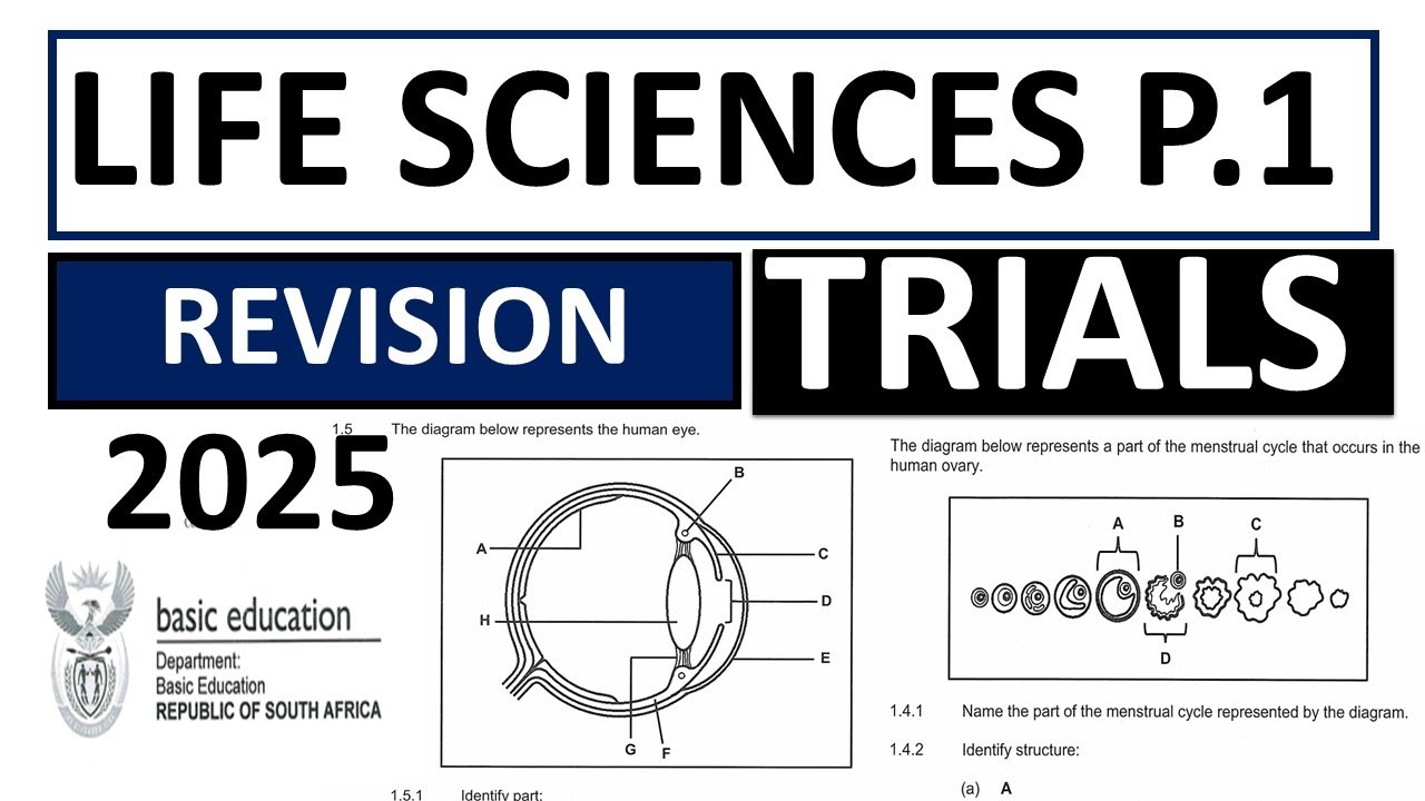 2025 PAPER 1 LIFE SCIENCES PAPER 1 GRADE 12 TRIAL EXAM PREP ...