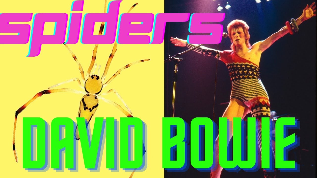 New Spider Named for David Bowie - YouTube