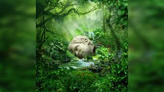 "SZNZ& Spring" von Weezer – laut.de – Album