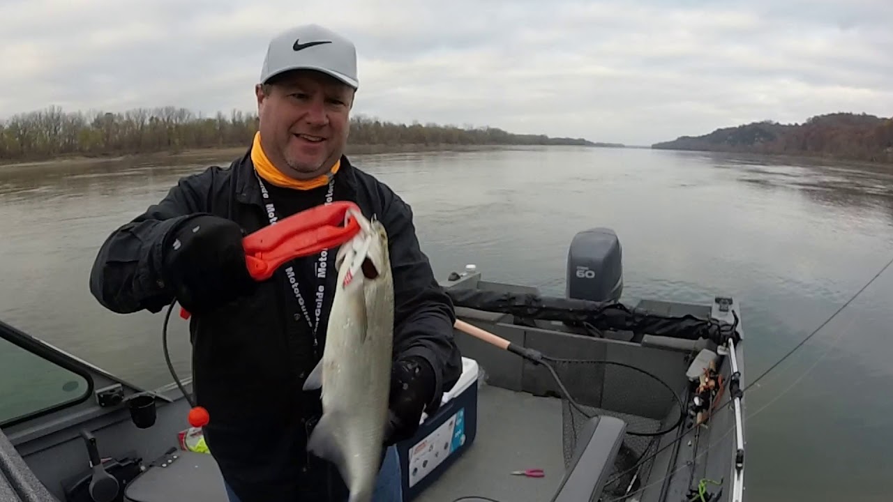 Goldeye Fish / Bink's Spoon / Missouri River USA - YouTube