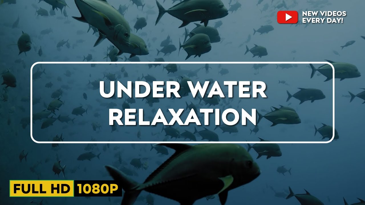 Calm Marimba Music & Water Sounds in Aquarium • Sleep, Relax, Spa, Yoga ...