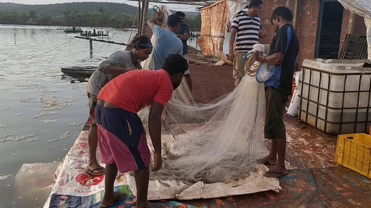 Morve village kolambi prakalp. Tal devgad dist sindhudurg. मोर्वे ...