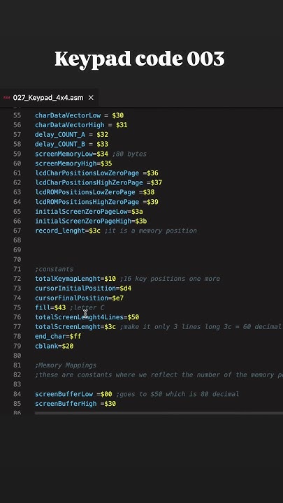 Keypad code 003 Variables #6502 #retrocomputing #20c #assembler - YouTube