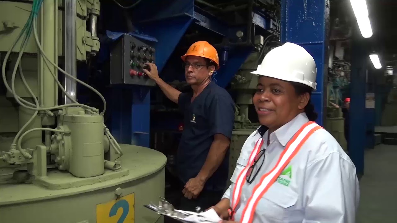 Oportunidad de crecimiento junto a la Familia Campollo - YouTube