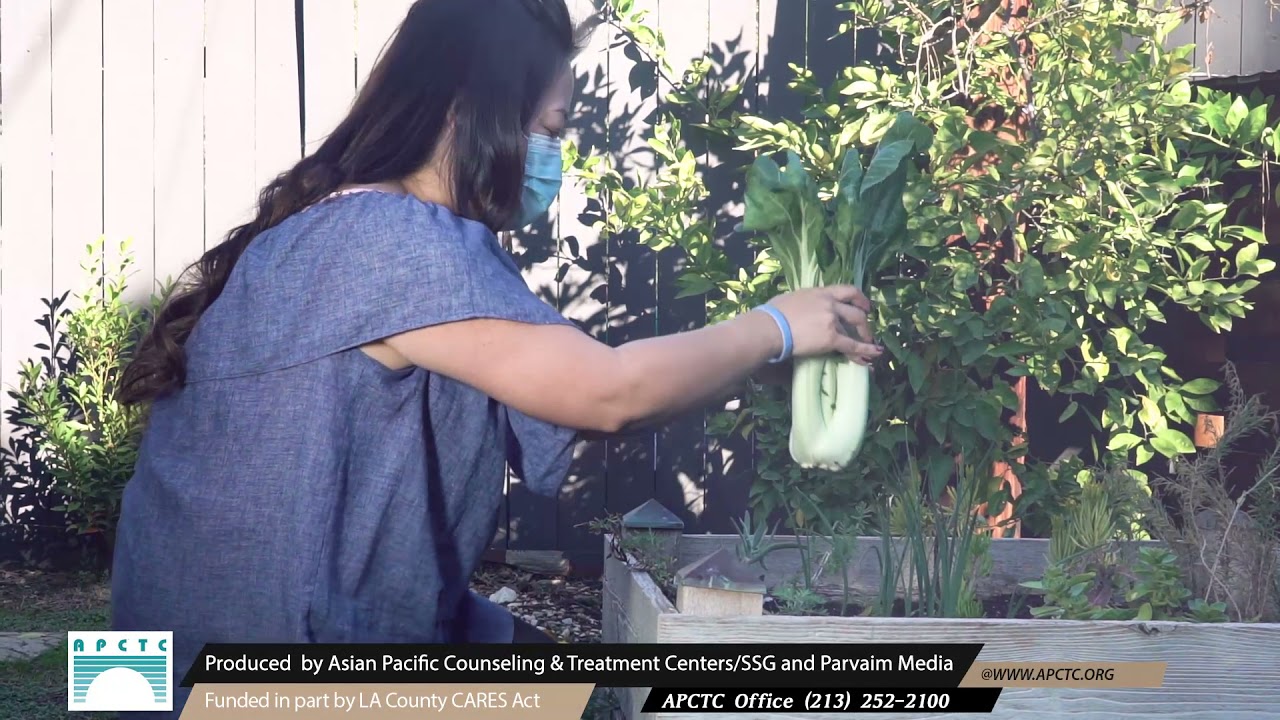 APCTC Korean PSA - Gifts of Wonder - YouTube