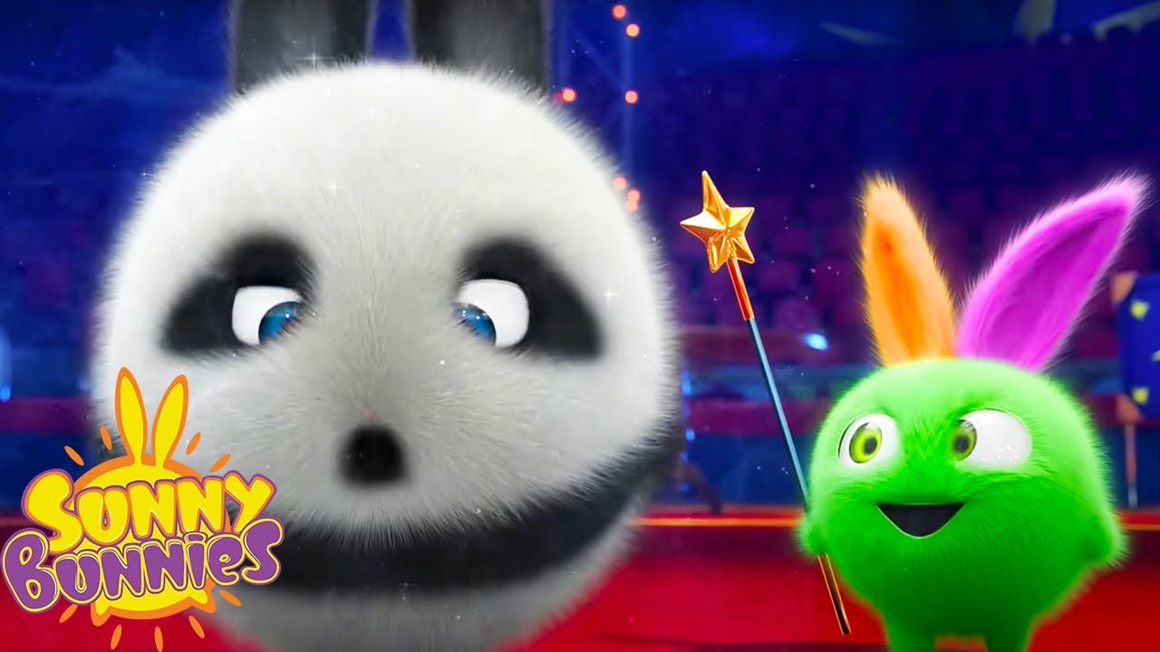 SUNNY BUNNIES - Panda Bunny | Season 1 | Cartoons for Kids - YouTube