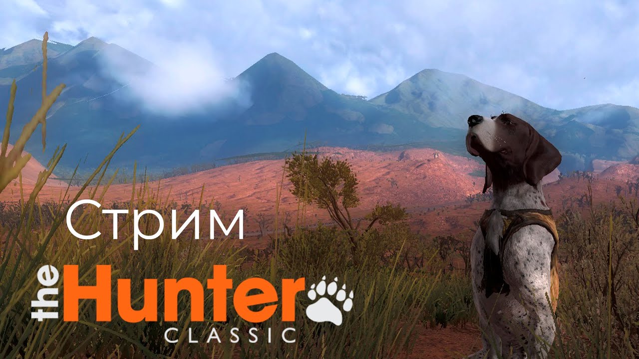 СТРИМ The Hunter Classic - YouTube