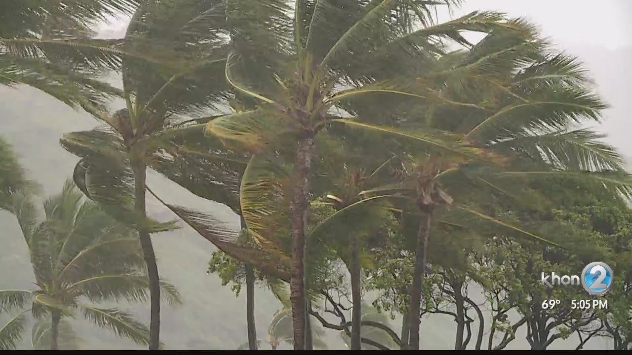 Kauai and Maui County pounded by wind and rain causing downed trees and ...