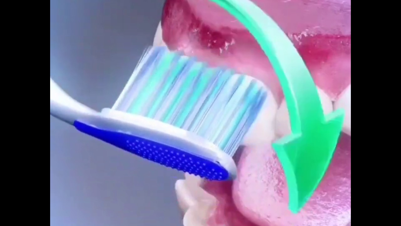 Correct Brushing Technique - YouTube